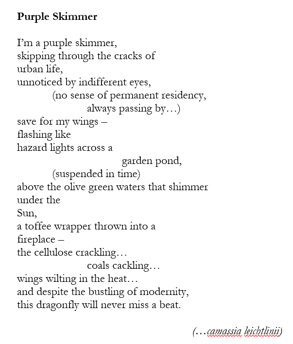 purple_skimmer – Tiny Seed Literary Journal